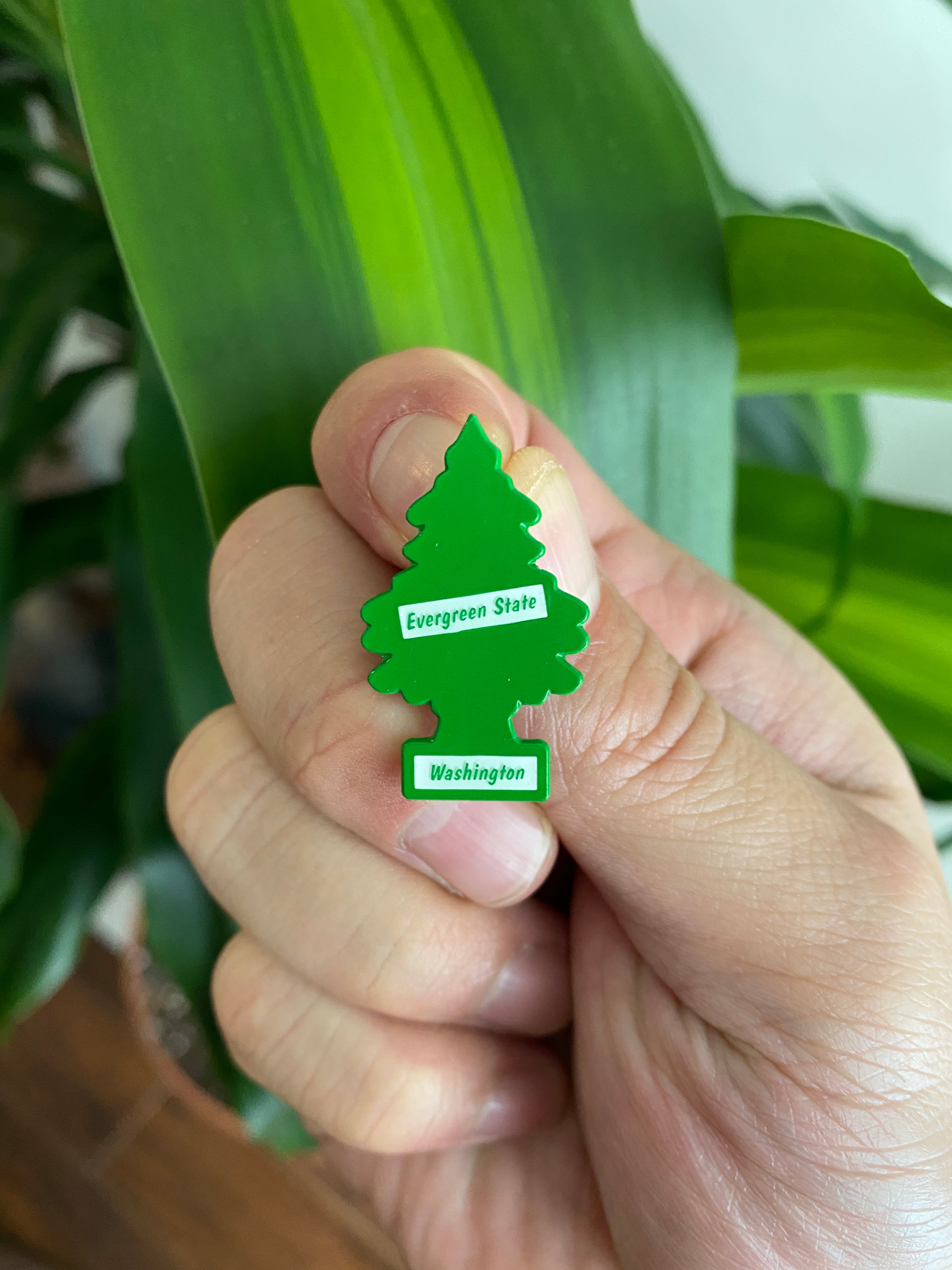 Evergreen Tree Pin – Hype Pins
